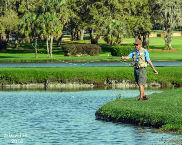 ABOUT - The Grand Oaks Resort