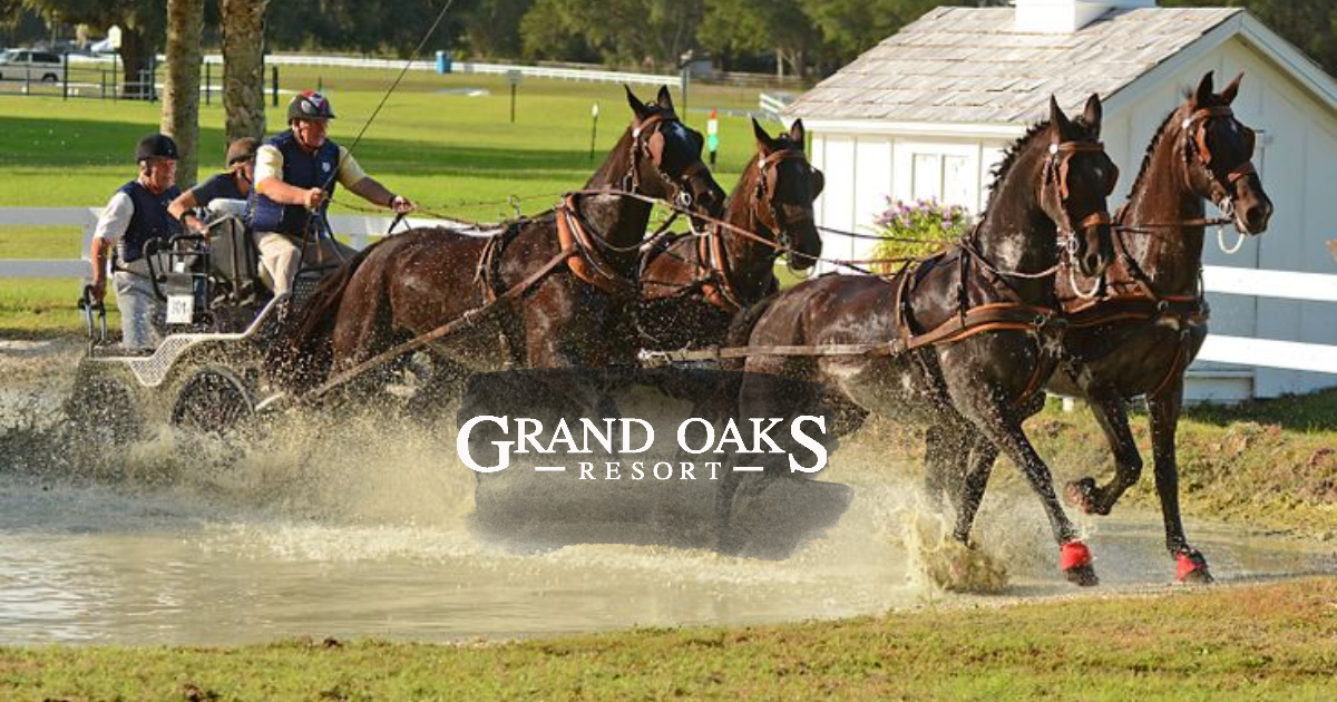 ABOUT - The Grand Oaks Resort