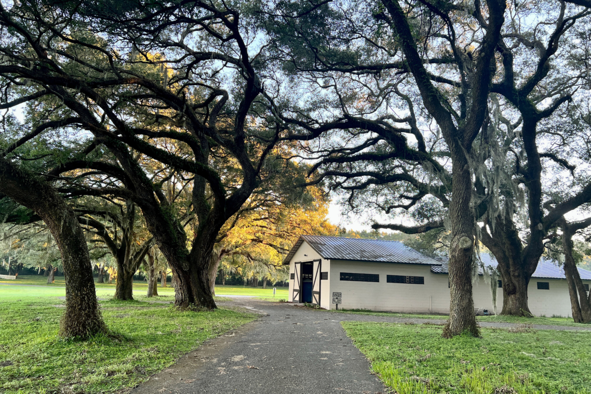 November Happenings at the Grand Oaks Resort - The Grand Oaks Resort