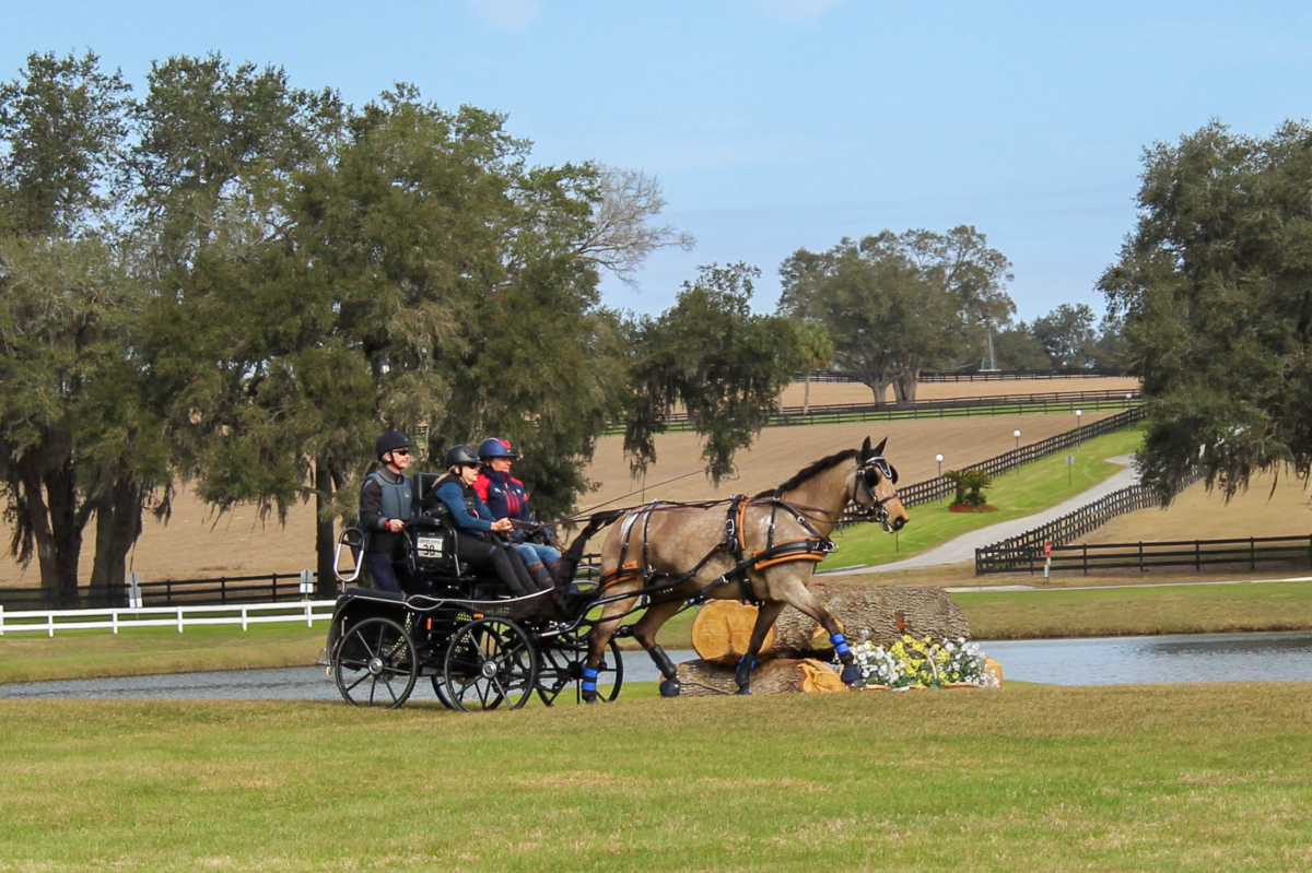 Home - The Grand Oaks Resort