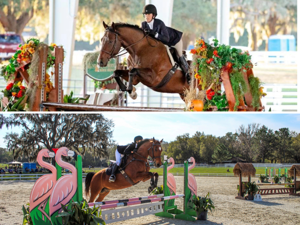 Understanding Hunter/Jumper Horse Shows - The Grand Oaks Resort